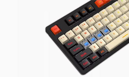 RGB Mechanical Keyboard with Custom Switches | NOVI BOX