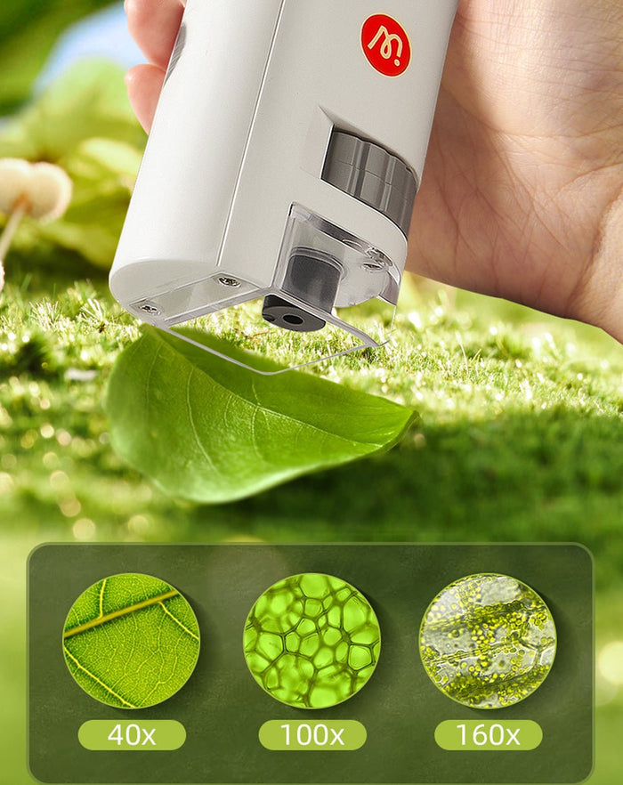 Discover Microscopic Wonders| NOVI BOX