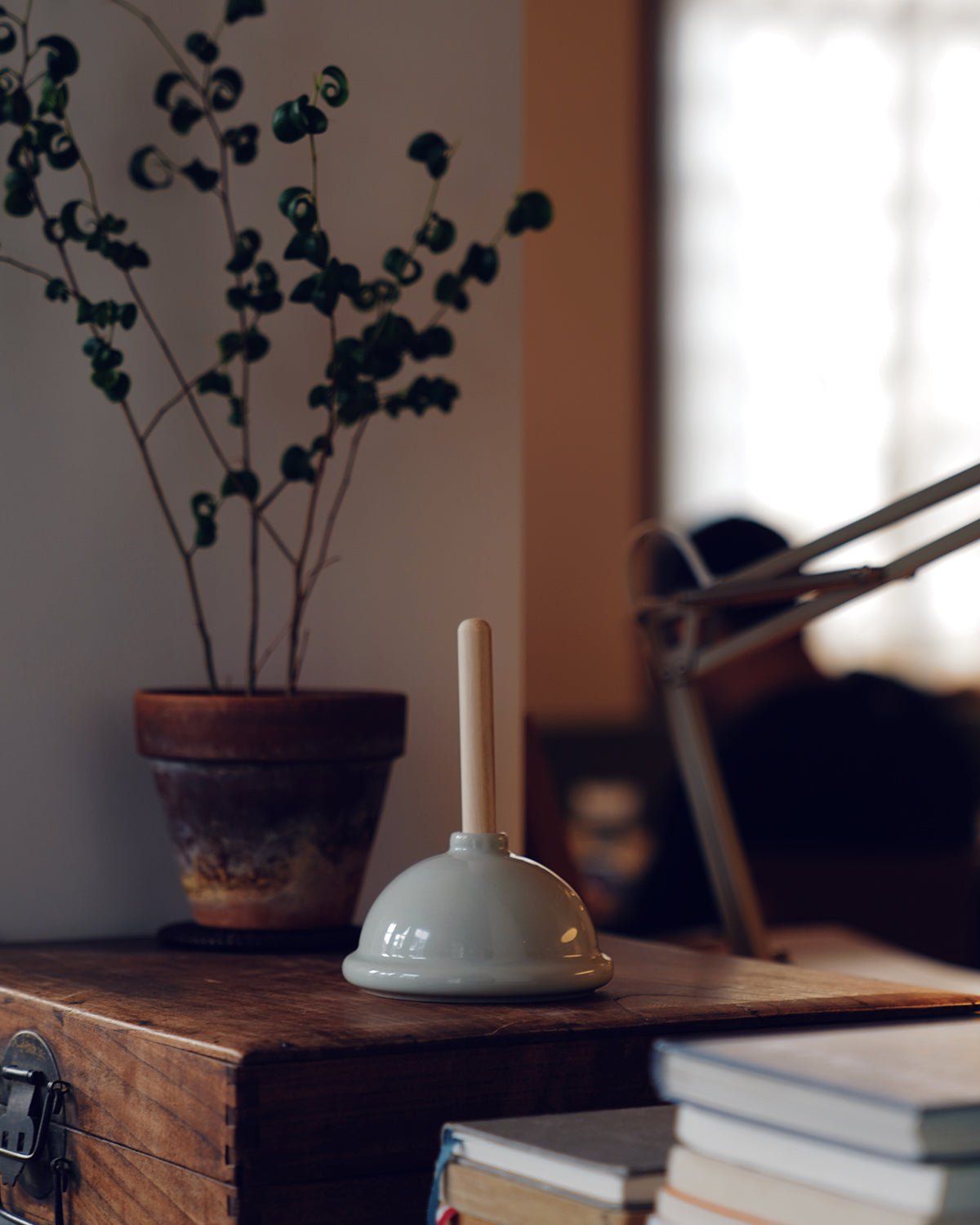 Plunger-Shaped Diffuser with Oil Refill | NOVI BOX