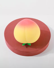 Peach Squishy Stress Relief Toy | NOVI BOX