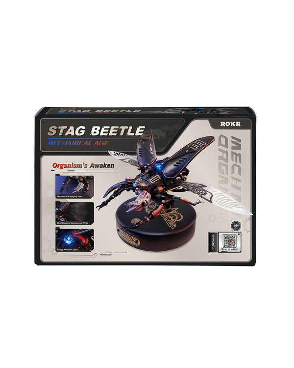 Steampunk Mechanical 3D Beetle Puzzle | NOVI BOX